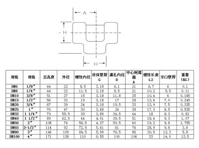 Cina Acciaio inossidabile 304 316 316L 3000 LB 6000LB Tee forgiato per raccordi per tubi ad alta pressione in vendita