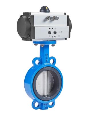 Cina 1/4''-6'' Port Size Sanitary Pneumatic Butterfly Valves con costruzione SS304 / 316L in vendita