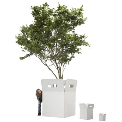中国 厚さ1.5mm-6.0mmの大きく高い金属の植木鉢の高いCorten鋼鉄プランター 販売のため