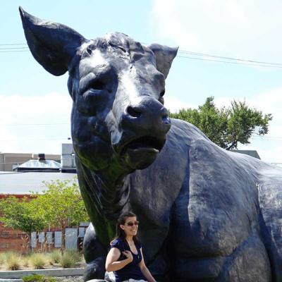 Cina Scultura bronzea a grandezza naturale all'aperto della scultura bronzea del giardino di Gnee di benvenuto dell'OEM in vendita