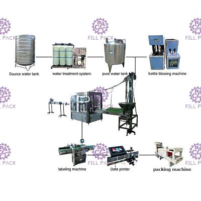 China 3000BPH PET Bottle Mineral Water Production Line 500ml Rinsing Filling Capping for sale
