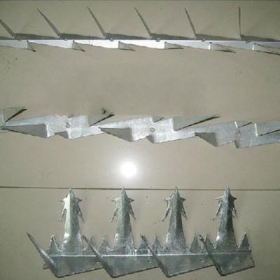 Cina Il rasoio rampicante della parete di Security Spikes Anti del recinto Q235 chioda 1.25M in vendita