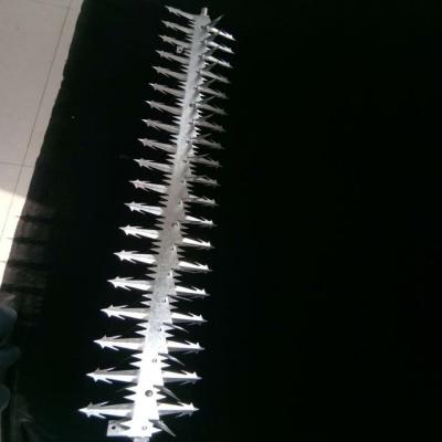 Cina La parete galvanizzata immersa calda del rasoio di Security Spikes del recinto chioda 1.25M non che arrugginisce in vendita