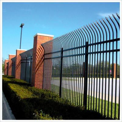 China Cerca preta 2400mmL X 2100mmH do jardim do ferro forjado da cor de RAL à venda