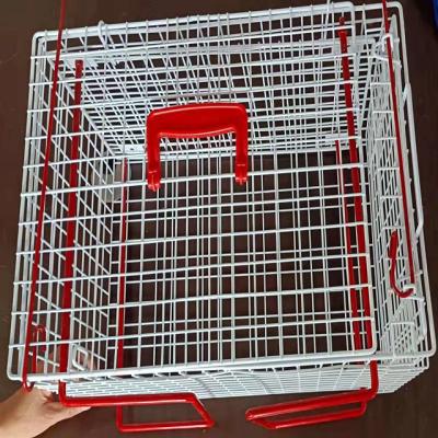 Cina il PVC all'aperto del metallo della rete metallica di 2mm ha ricoperto la gabbia galvanizzata dell'esposizione dell'animale domestico in vendita