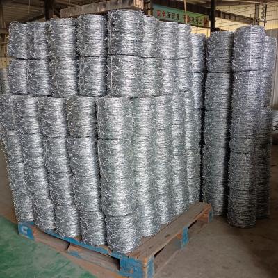 Cina Filo spinato galvanizzato immerso caldo su misura 25KG che recinta Bwg16 - 1/2 4 punti in vendita