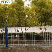 China 50*150mm Double Loop Wire Garden Welded Mesh Fencing Electro Galvanizing for sale