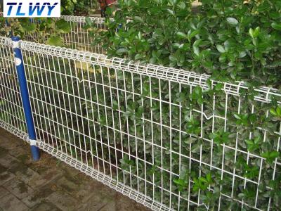 Cina il doppio giardino del cavo del ciclo di 50*150mm ha saldato Mesh Fencing Electro Galvanizing in vendita