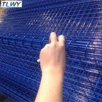 China 50*150mm Double Loop Wire Garden Welded Mesh Fencing Electro Galvanizing for sale