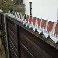 China 1.25m Garden Gate Security Spikes for sale