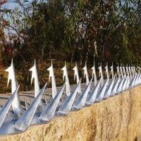 China 1.25m Garden Gate Security Spikes for sale