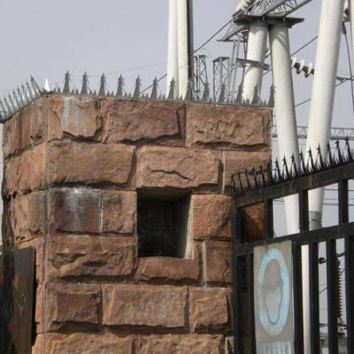 Cina Punte della parete di salita del cavo di Security Spikes Iron del recinto di lunghezza 1.25m anti in vendita