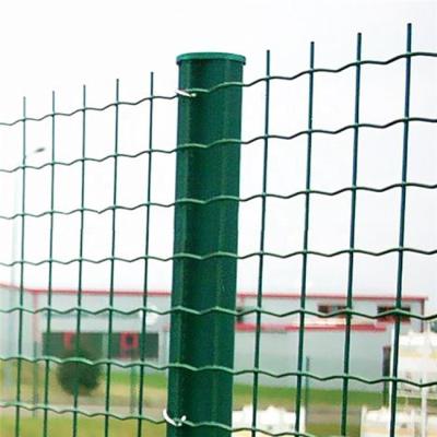 China de hete verkopende omheining van product goedkopere Holland Welded Wire Mesh Fence /Euro Te koop