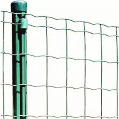China de hete verkopende omheining van product goedkopere Holland Welded Wire Mesh Fence /Euro Te koop