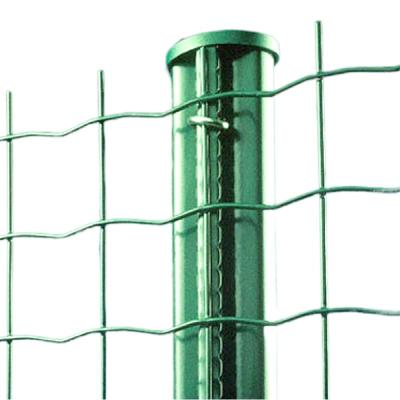 Cina IL PVC ISO9001 ha ricoperto il tipo dell'euro di altezza 60cm-200cm di Holland Wire Mesh Fence Netting in vendita