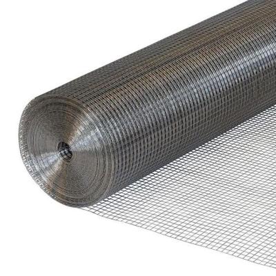 Cina Il quadrato a 1 pollici di TLWY ha galvanizzato il cavo saldato Mesh Rolls BWG21-14 in vendita