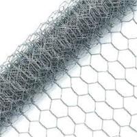 China Electro Galvanized Hexagonal Wire Mesh Egg Basket Hex Chicken Wire for sale