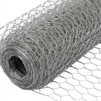 China Electro Galvanized Hexagonal Wire Mesh Egg Basket Hex Chicken Wire for sale