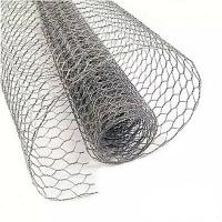 China TLSW Galvanized Hexagonal Wire Netting Chicken Wire Mesh BWG22 for sale