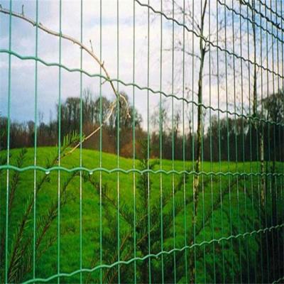 Cina IL PVC di TLWY ha ricoperto Mesh Fencing saldato 9.0mm Holland Fence in vendita
