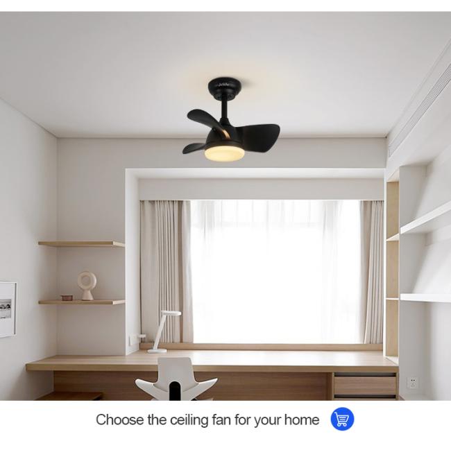 ceiling fan