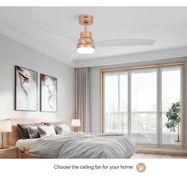 ceiling fan