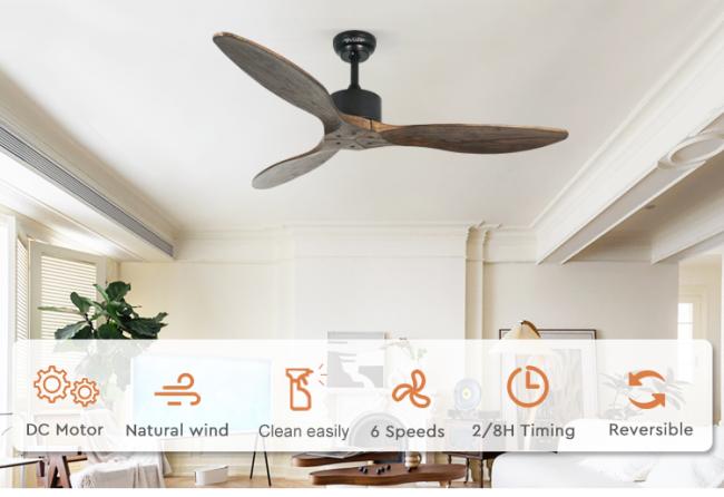 ceiling fan