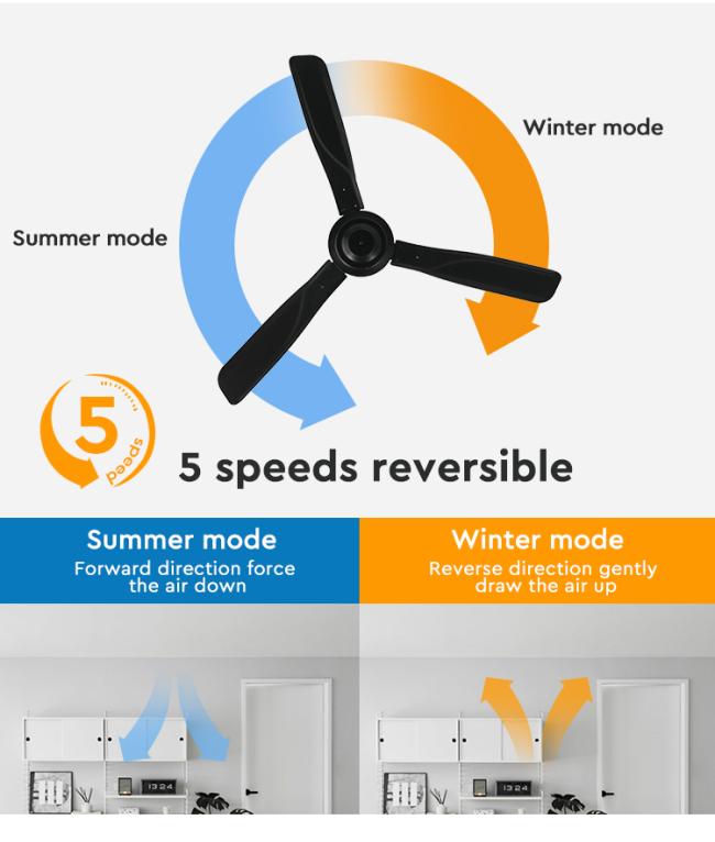 ceiling fan