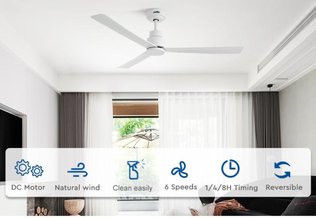 ceiling fan