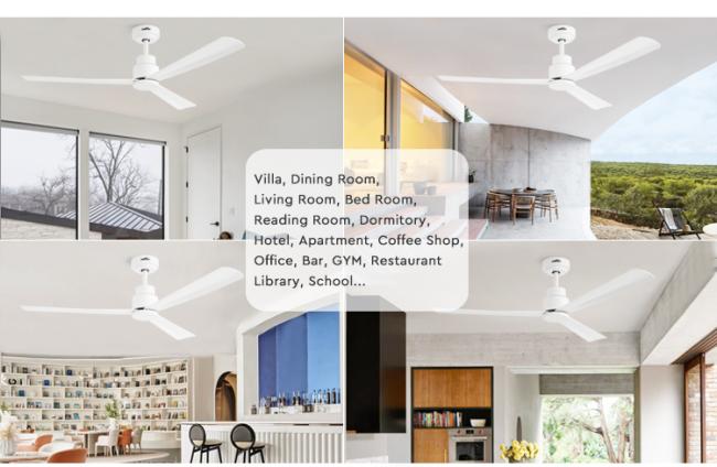 ceiling fan