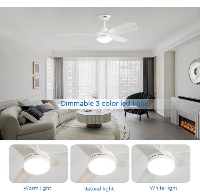 ceiling fan