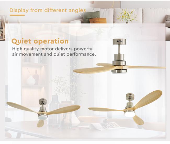 ceiling fan