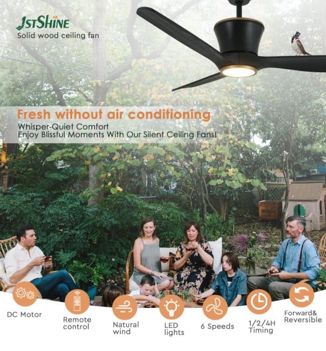 ceiling fan