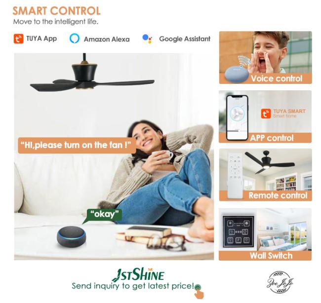 ceiling fan