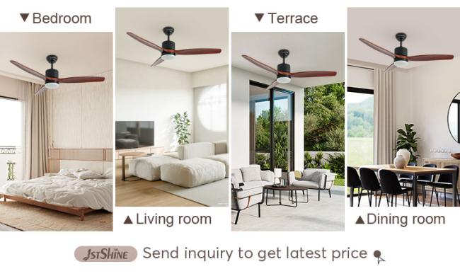 ceiling fan