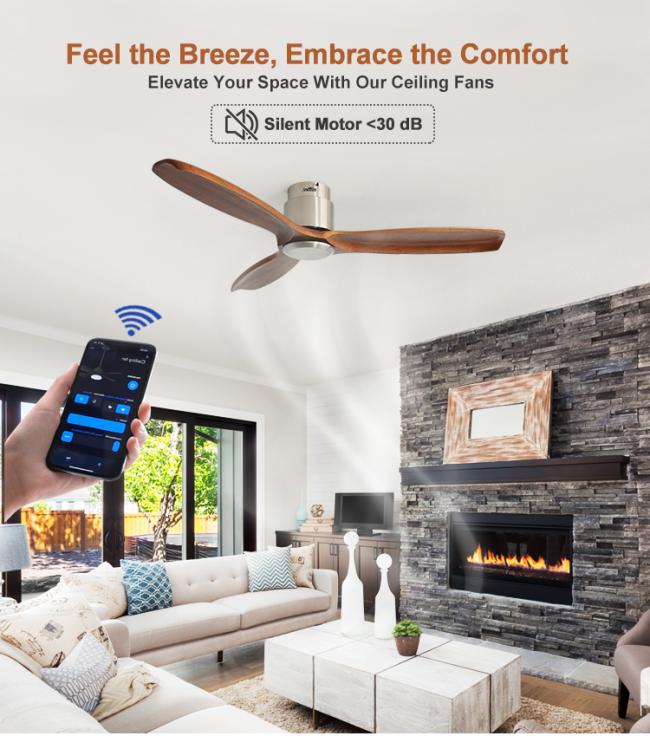ceiling fan