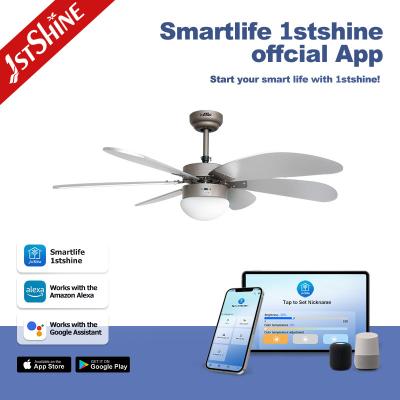 China Simple Home 6 MDF Blades Silver Color Ceiling Fan with Remote Control and AC/DC Motor for sale