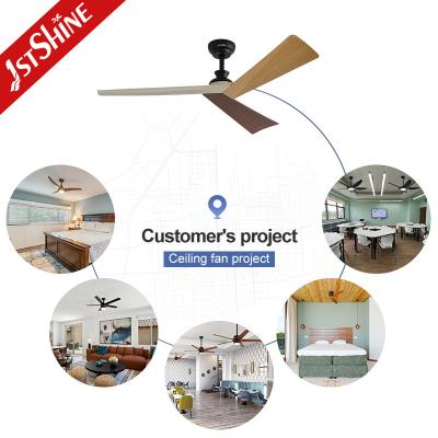 Quality 3 Color Blades Ceiling Fan With DC Motor Simple Decorative Ceiling Fan for sale
