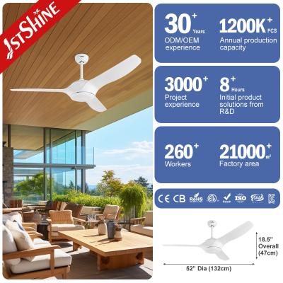 China OEM ODM Plastic Summer Cool Ceiling Fan 3 Blade Smart Lighting Fan for sale