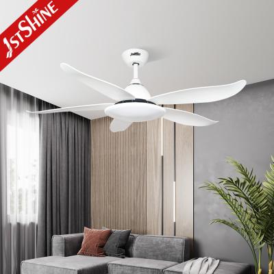 China Modern Home 48
