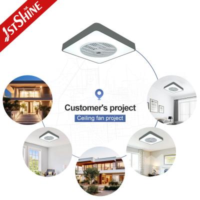 China 20in DC Silent Motor Bedroom Ceiling Fan With LED Light for sale