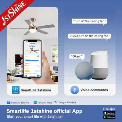 China Dual-Style Ceiling Fan With Light And Reversible Black & Silver Blades Remote Control for sale