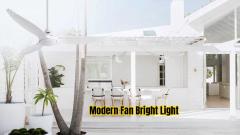 52 Inch White Modern Ceiling Fan With Light