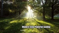 1stShine 52 Inch Modern Silver Ceiling Fan Review