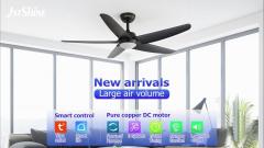 Modern 52 Inch Black Ceiling Fan with LED Light Review