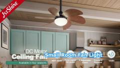 30 Inch Modern Ceiling Fan Light for Small Rooms
