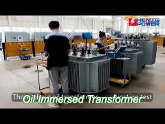 hentg step up down mv hv oil immersed distribution transformer 50kva 100kva 200kva