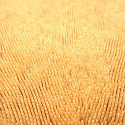 Cina Strumenti di legno di bambù naturali dentari di stuzzicadenti per cura orale dell'hotel domestico del ristorante in vendita