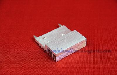 Cina L'argento anodizza il dissipatore di calore di alluminio espulso per UPS in vendita