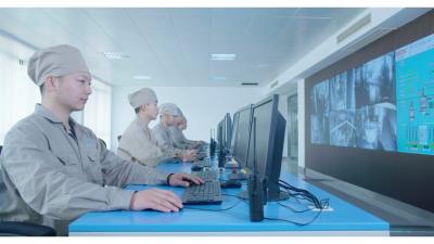 Cina Magnesio stearato di grado farmaceutico FCC polvere per la lubrificazione di compresse e capsule in vendita